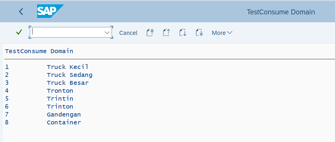 [SAP] – Maintain Data pada Data Domain – The GuritnoY Blog